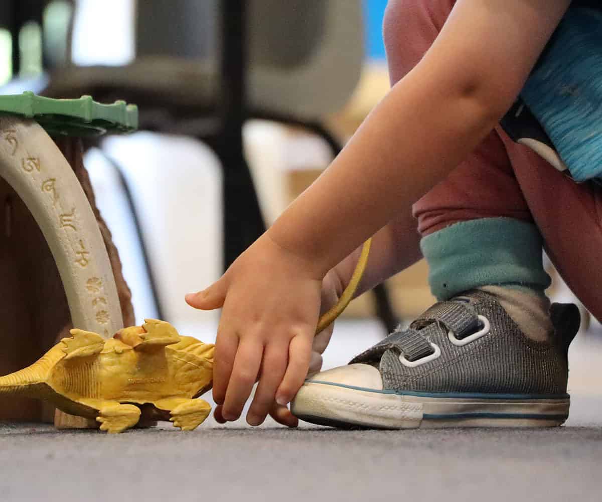 First Aid Requirements, Incident Management & Reporting - ECE